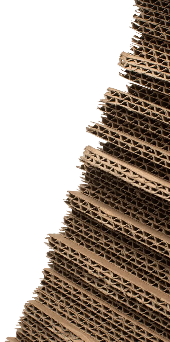 Industries We Serve | Tyoga Container | Custom Packaging Solutions