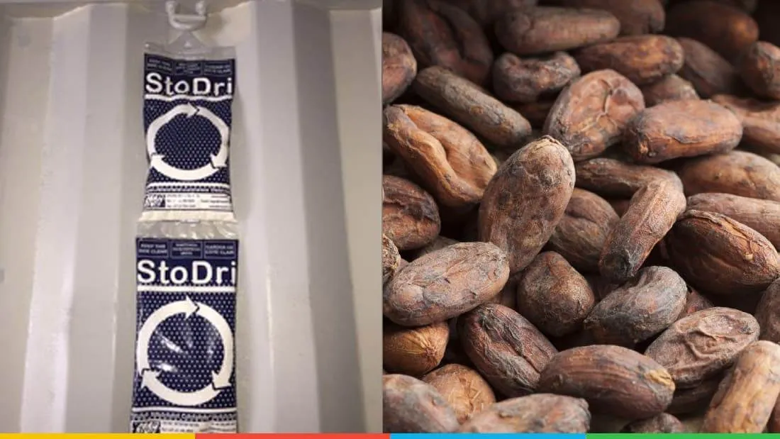 Transit Protection | Tyoga Container | Custom Packaging Solutions