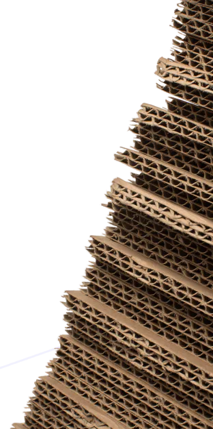 Pack and Ship - CORRUGATED SOLUTIONS | Tyoga - Go Beyond