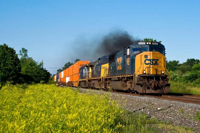 Pack and Ship - CORRUGATED SOLUTIONS | Tyoga - Go Beyond