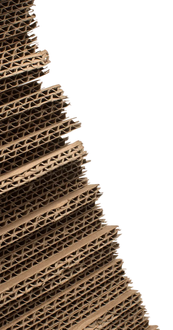 Products | Tyoga Container | Custom Packaging Solutions