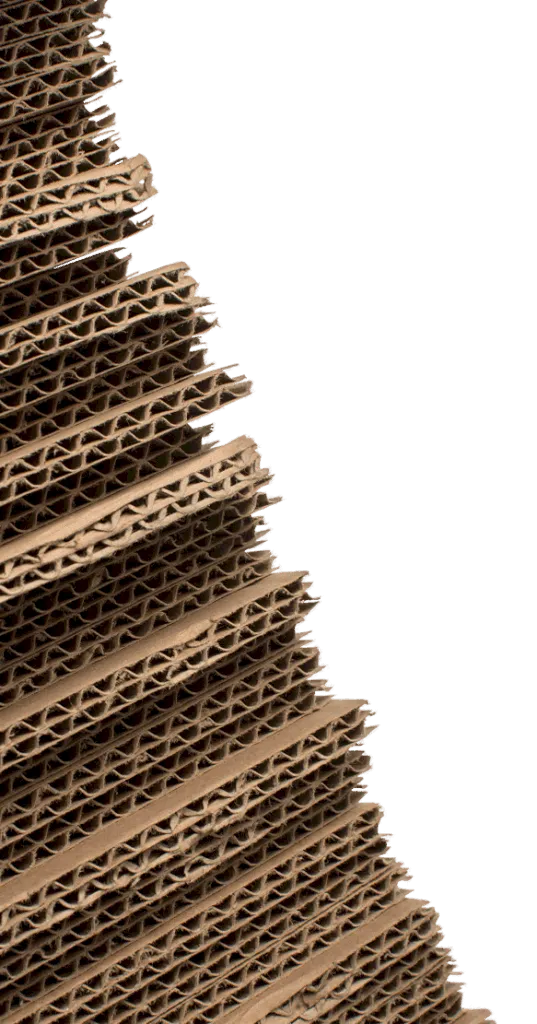 Products | Tyoga Container | Custom Packaging Solutions